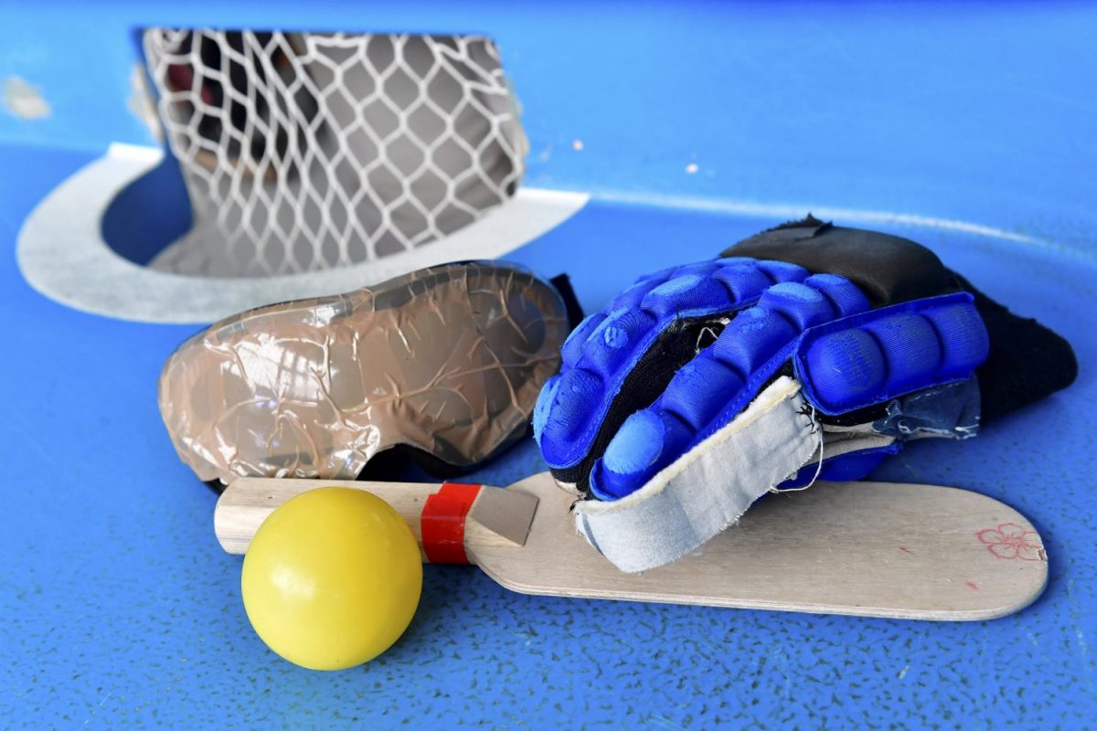 Horizon favorable pour le développement du Showdown | Handisport.org